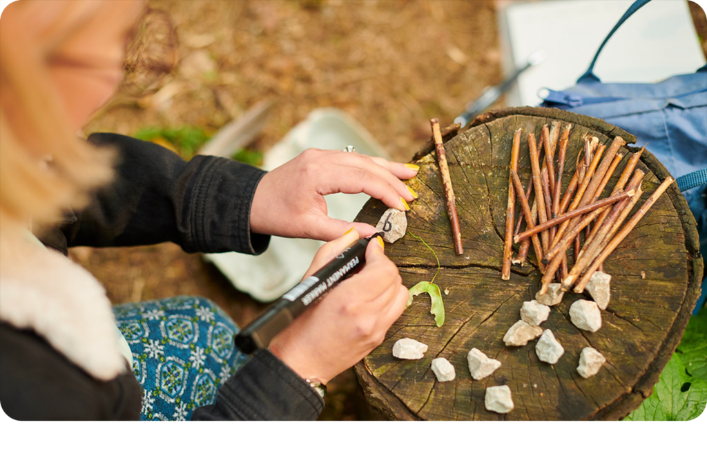 Please use the green buttons to find your Primary 5-11 Undergraduate phase mentor space ...