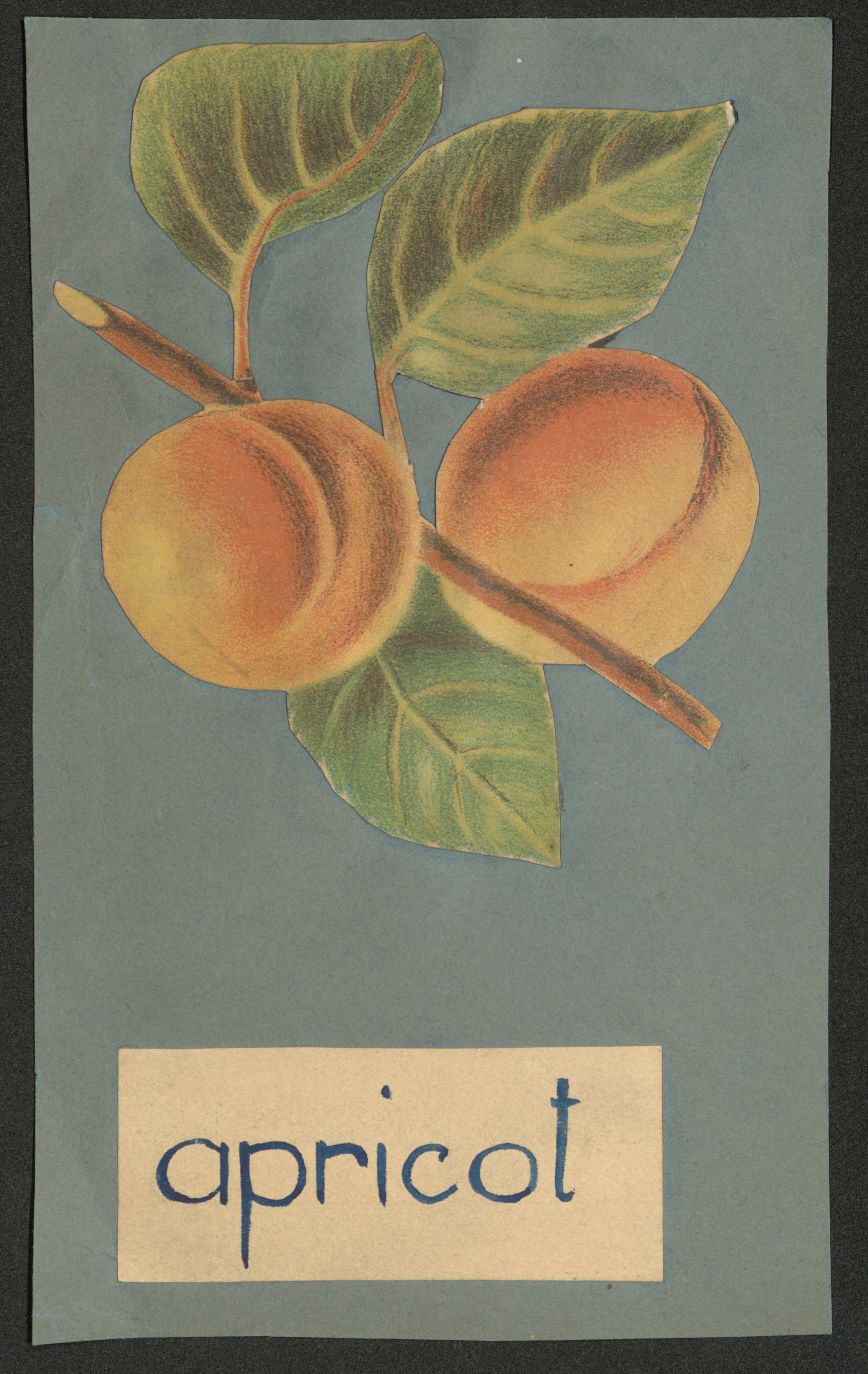 Flashcards | Research Catalyst | Edge Hill University